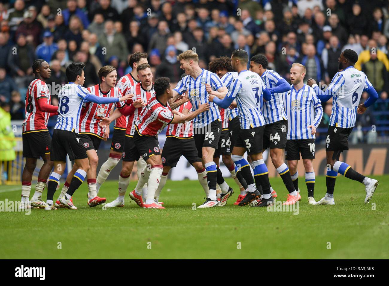 Sheffield Wednesday's Michael Smith getting onto an pushing match with ...