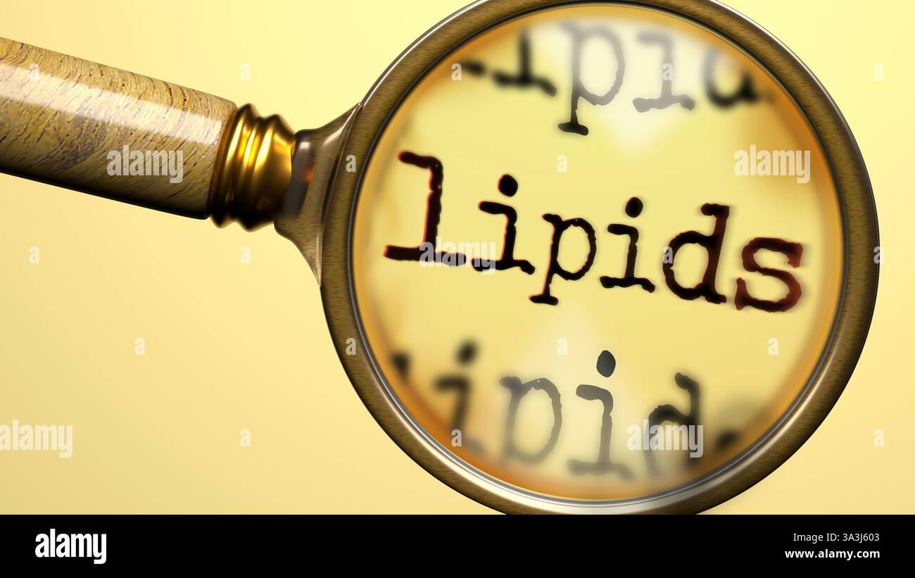 Lipids under magnifying glass. Thorough analysis and inspection of ...