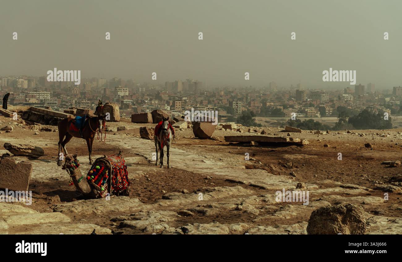 Landscape on the plateau of the Pyramids of Giza Stock Photo - Alamy