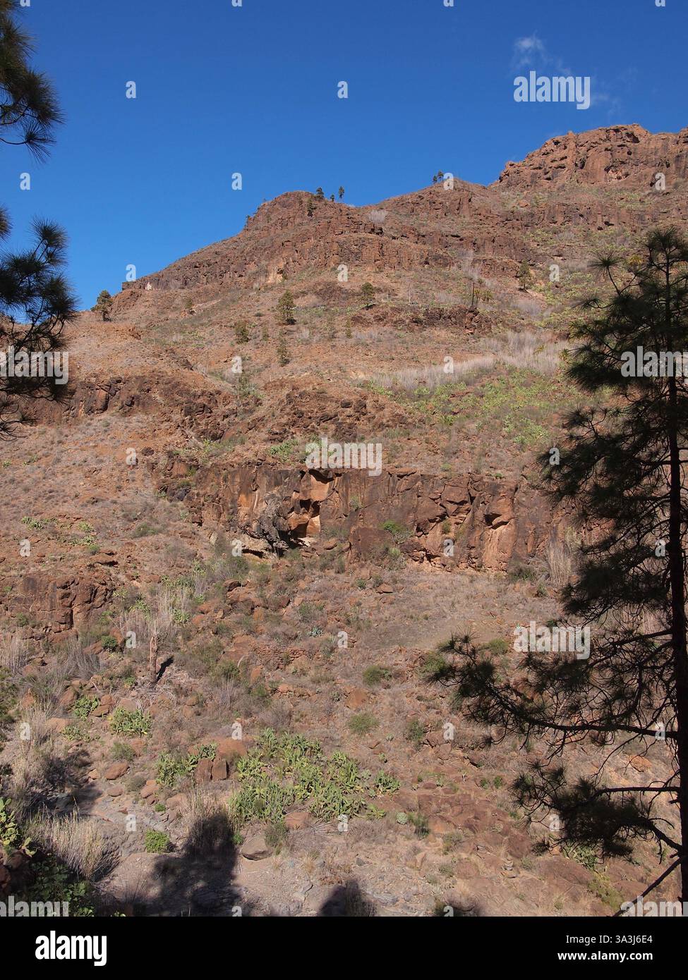 Parque Natural de Pilancones (San Bartolomé de Tirajana, Gran Canaria, Kingdom of Spain Stock ...