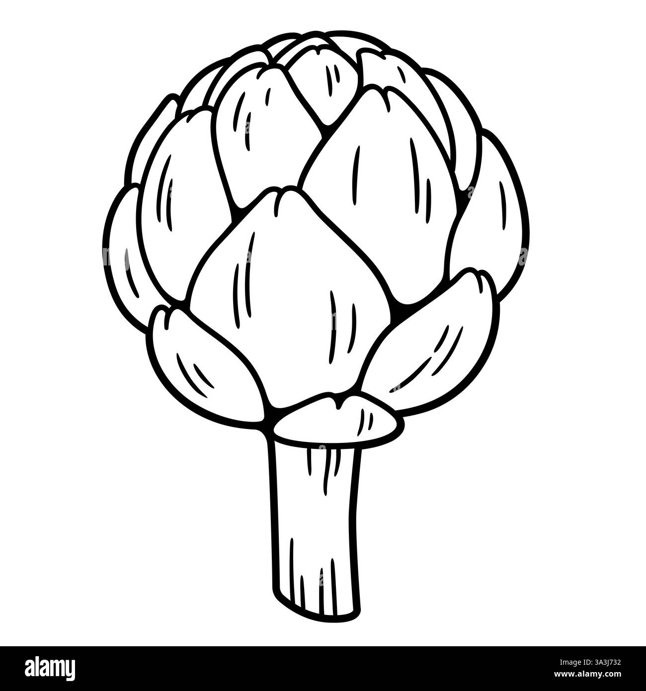 Artichoke hand drawn sketch, black and white drawing. Vector clipart ...