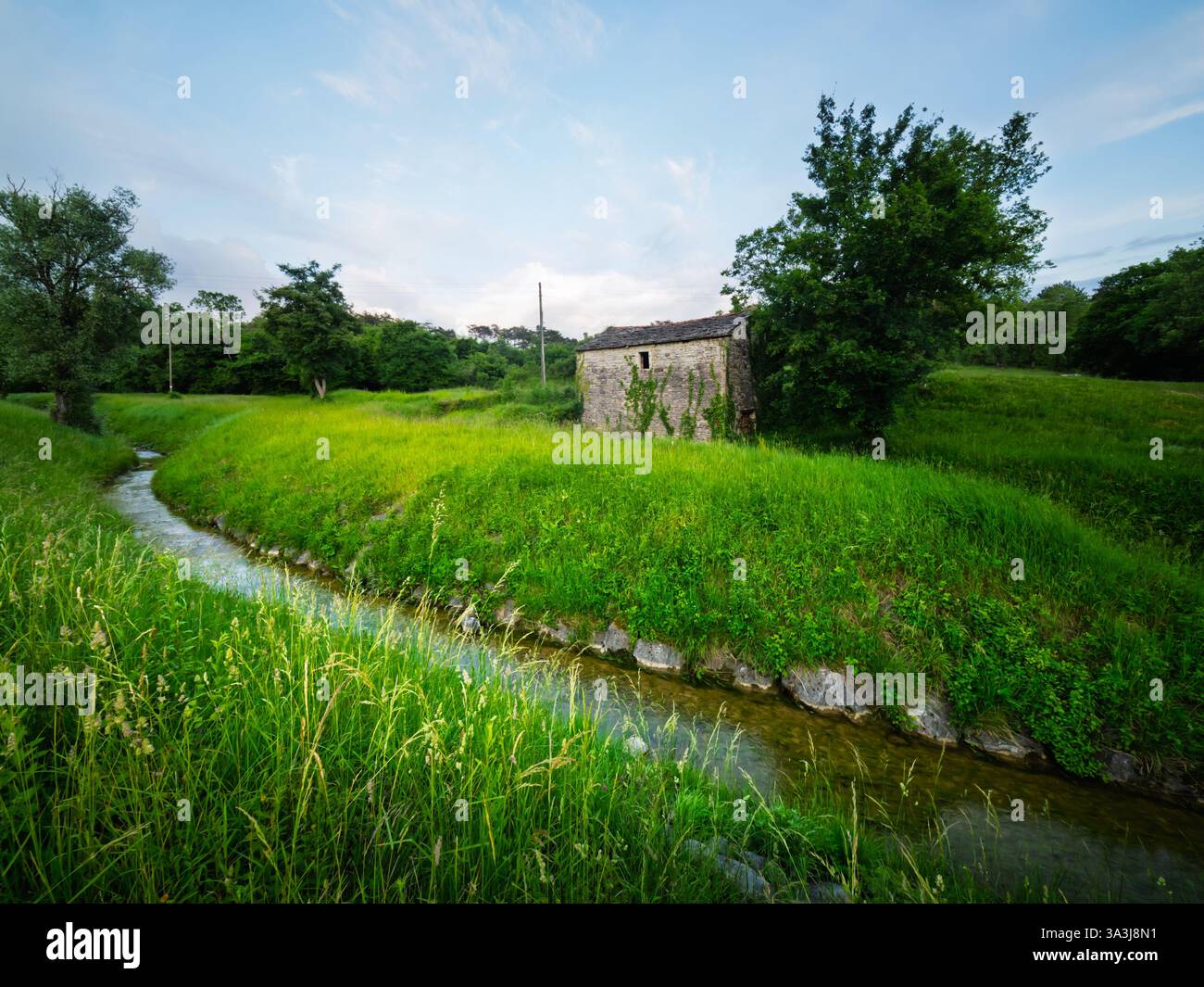 Butori hi-res stock photography and images - Alamy