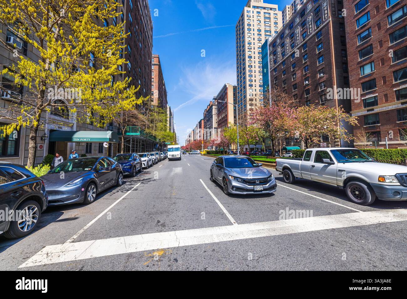 Wide street on Park Avenue in New York with blooming trees, parked cars ...