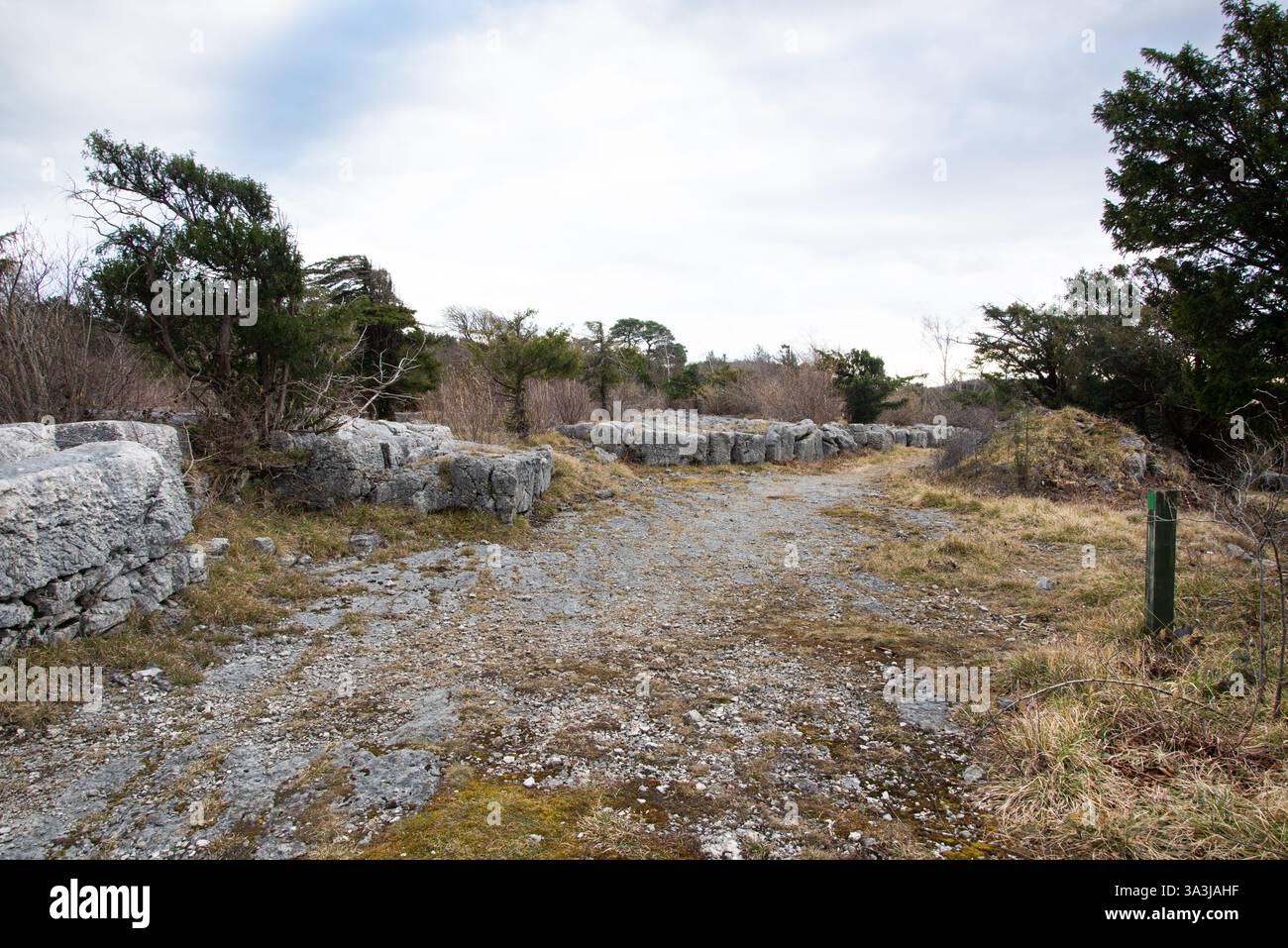 Limestone pavement at Gait Barrows National Nature Reserve, Arnside and ...