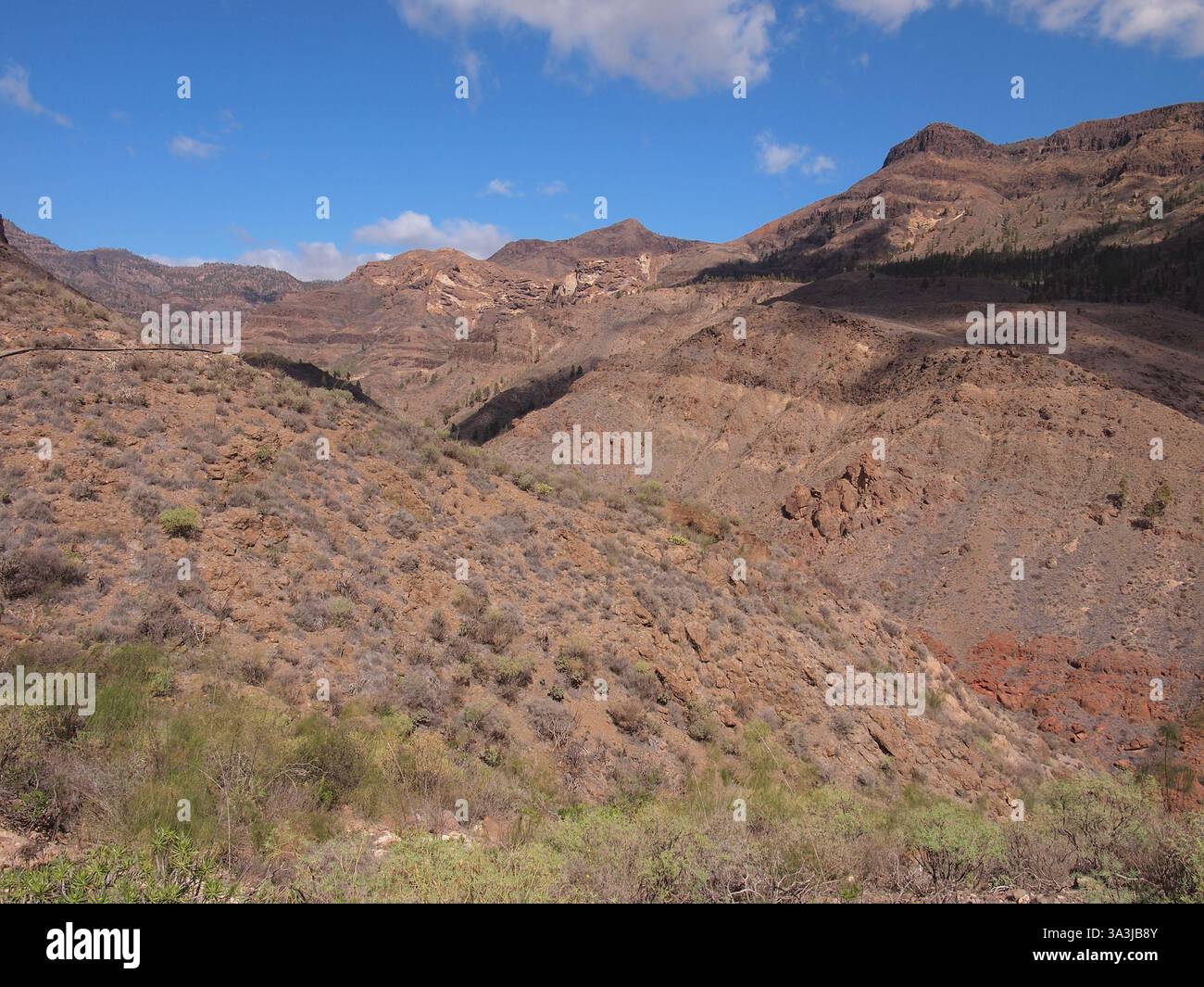 Parque Natural de Pilancones (San Bartolomé de Tirajana, Gran Canaria, Kingdom of Spain Stock ...