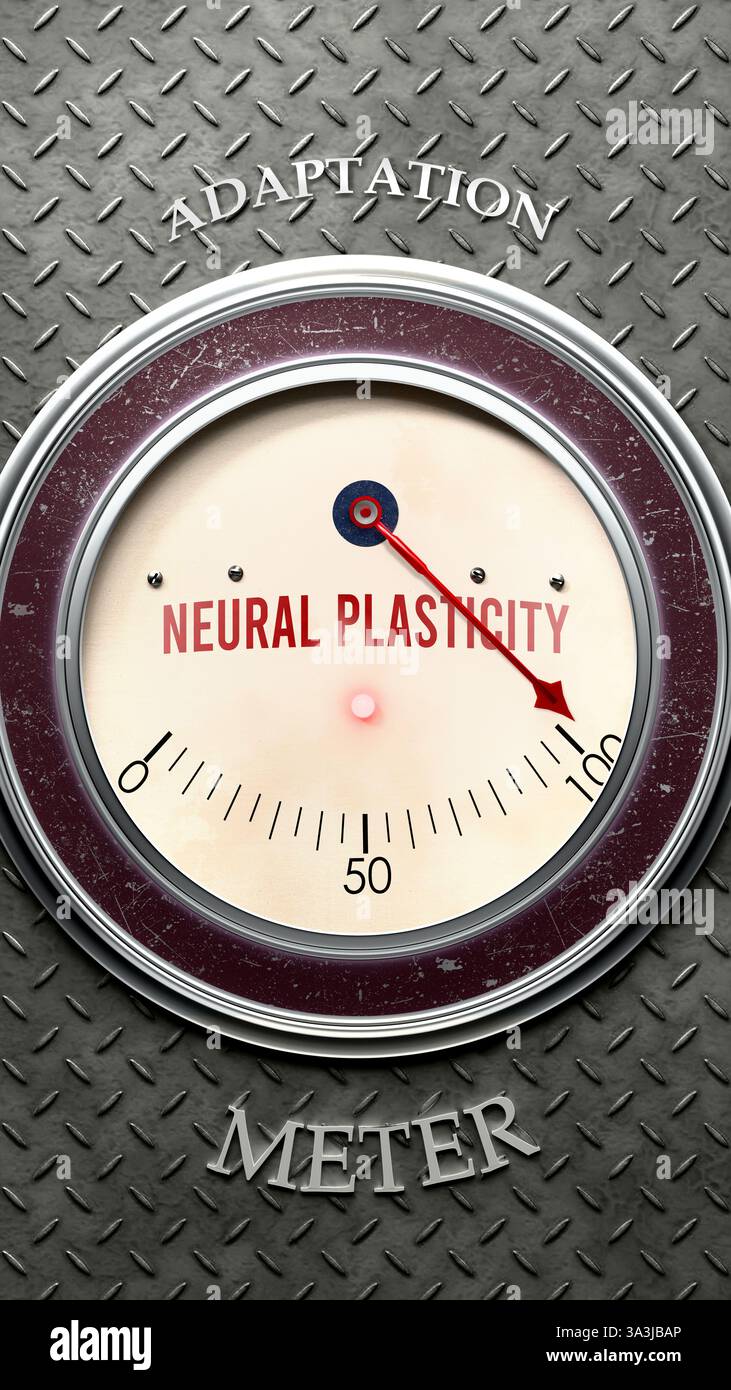 Neural Plasticity and Adaptation that is hitting a full scale, showing ...