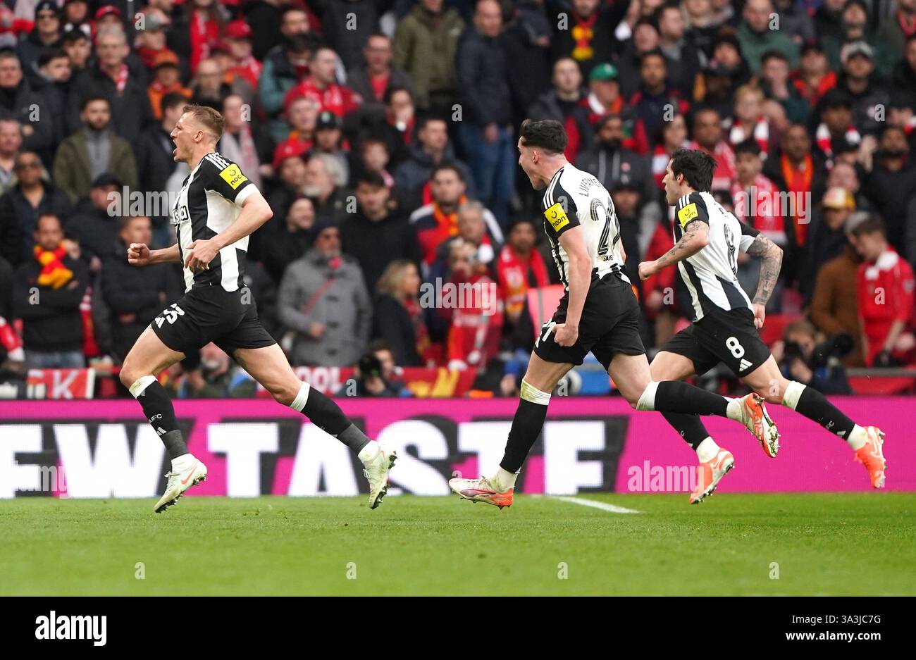 Newcastle United's Dan Burn (left) celebrates scoring their side's ...