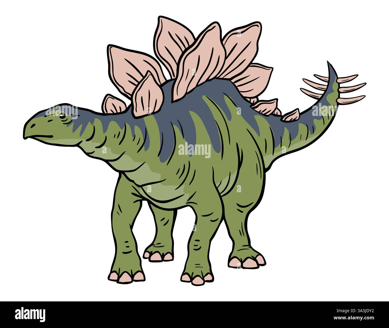Stegosaurus of the Jurassic period. Herbivorous dinosaur with spikes on ...