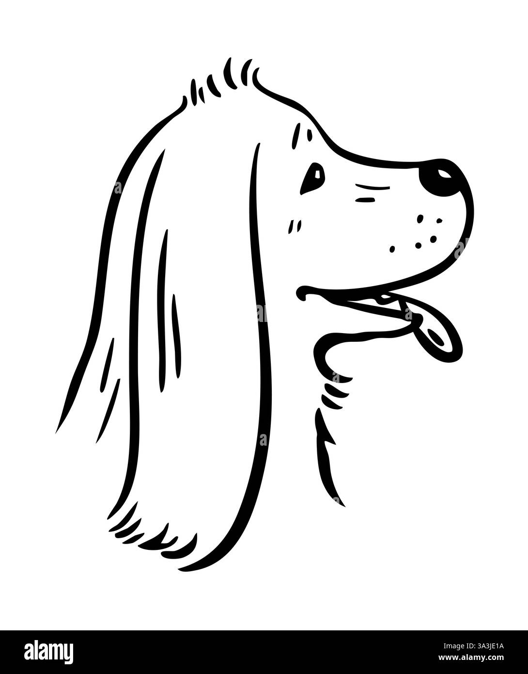 Hand drawn sketch of cocker spaniel Stock Vector Image & Art - Alamy