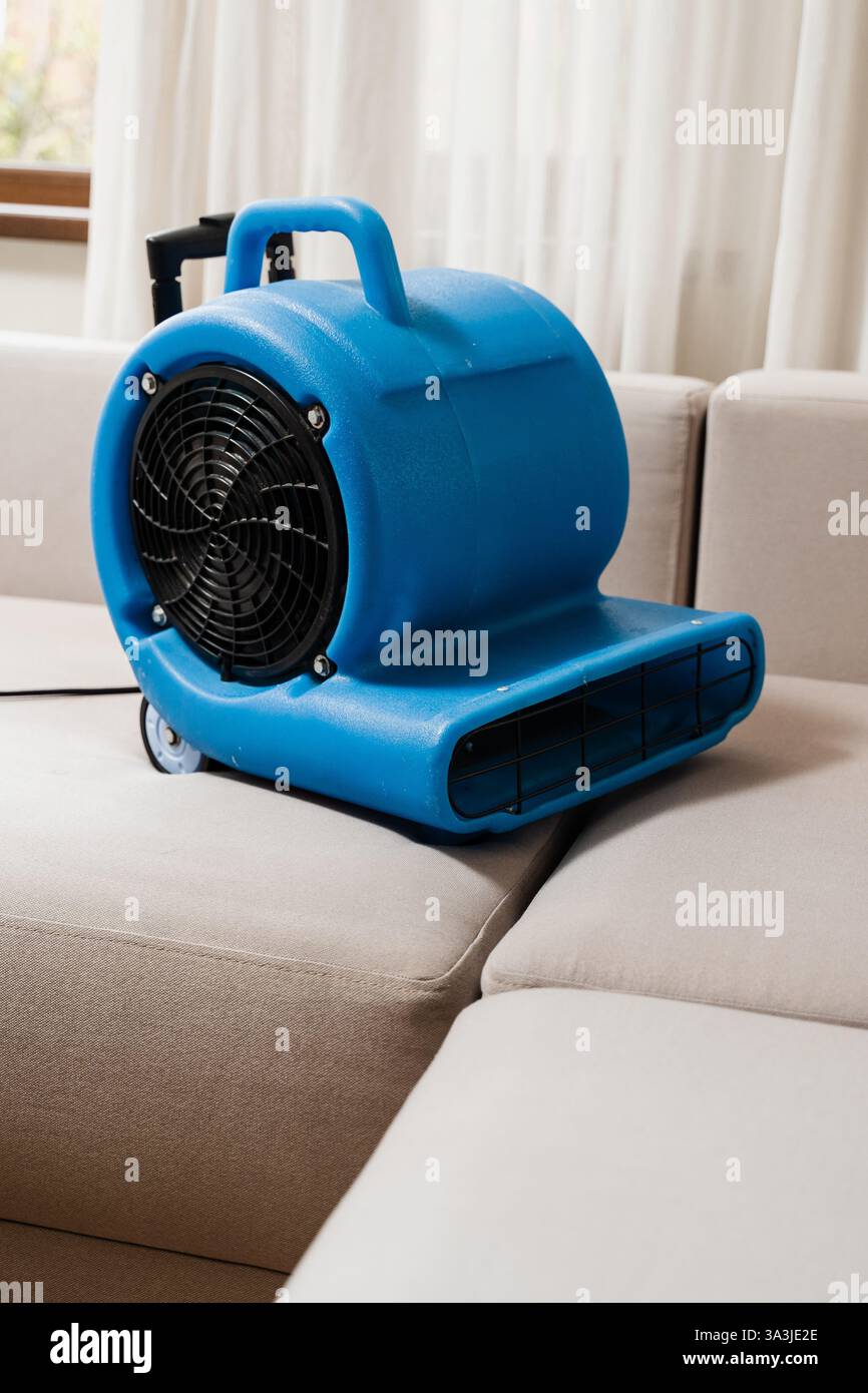 Floor dryer blower fan machine drying wet couch after dry cleaning of ...
