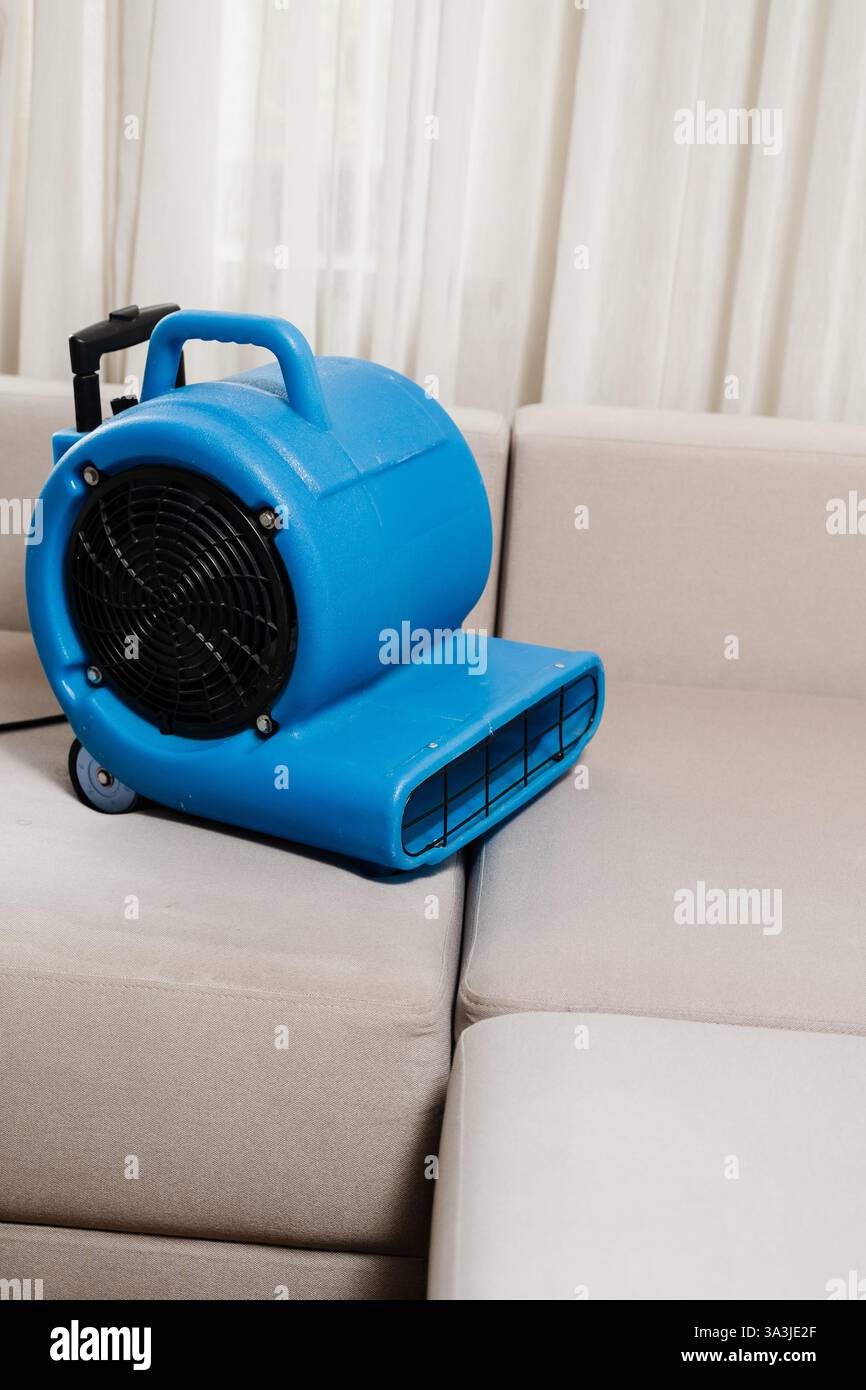 Floor dryer blower fan machine drying wet couch after dry cleaning of ...