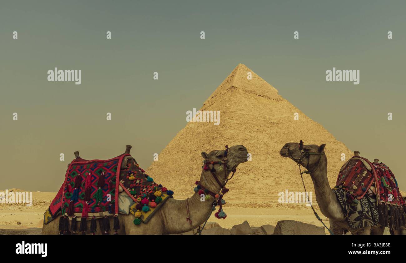 Travel Egypt UNESCO World Heritage Ancient Egyptian Culture Tourist ...