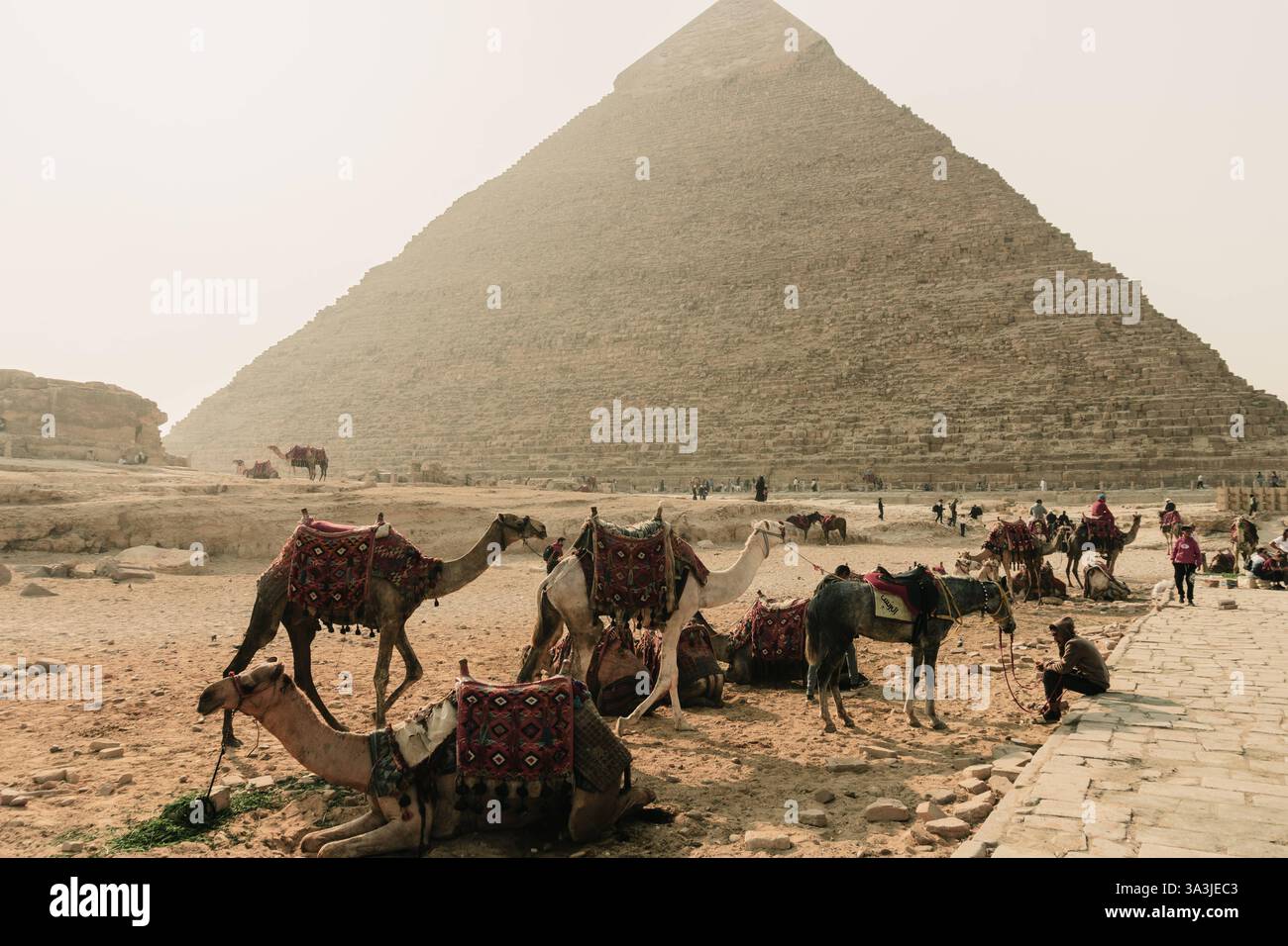 Travel Egypt UNESCO World Heritage Ancient Egyptian Culture Tourist ...