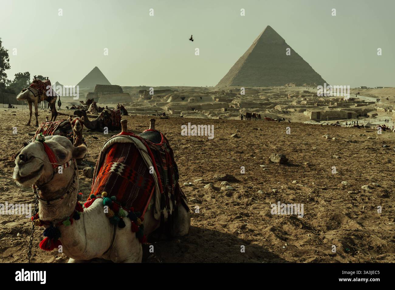 Travel Egypt UNESCO World Heritage Ancient Egyptian Culture Tourist ...