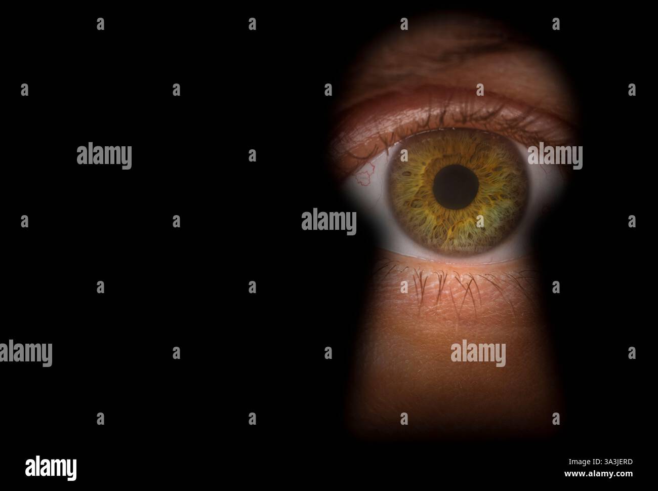 macro photography eye detailed iris close up looking through keyhole ...