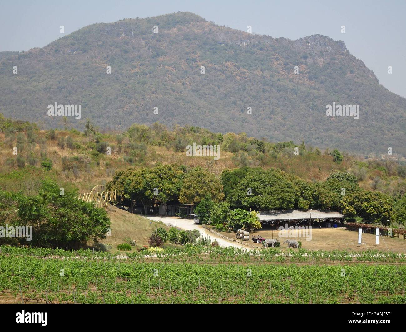 RECORD DATE NOT STATED Monsoon Valley, Weingut, Besitzer, Chalerm ...