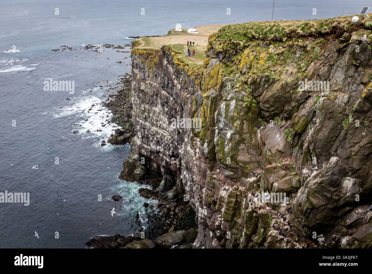 Latrabjarg cliffs in Westfjords, Iceland, largest sea bird cliff in ...