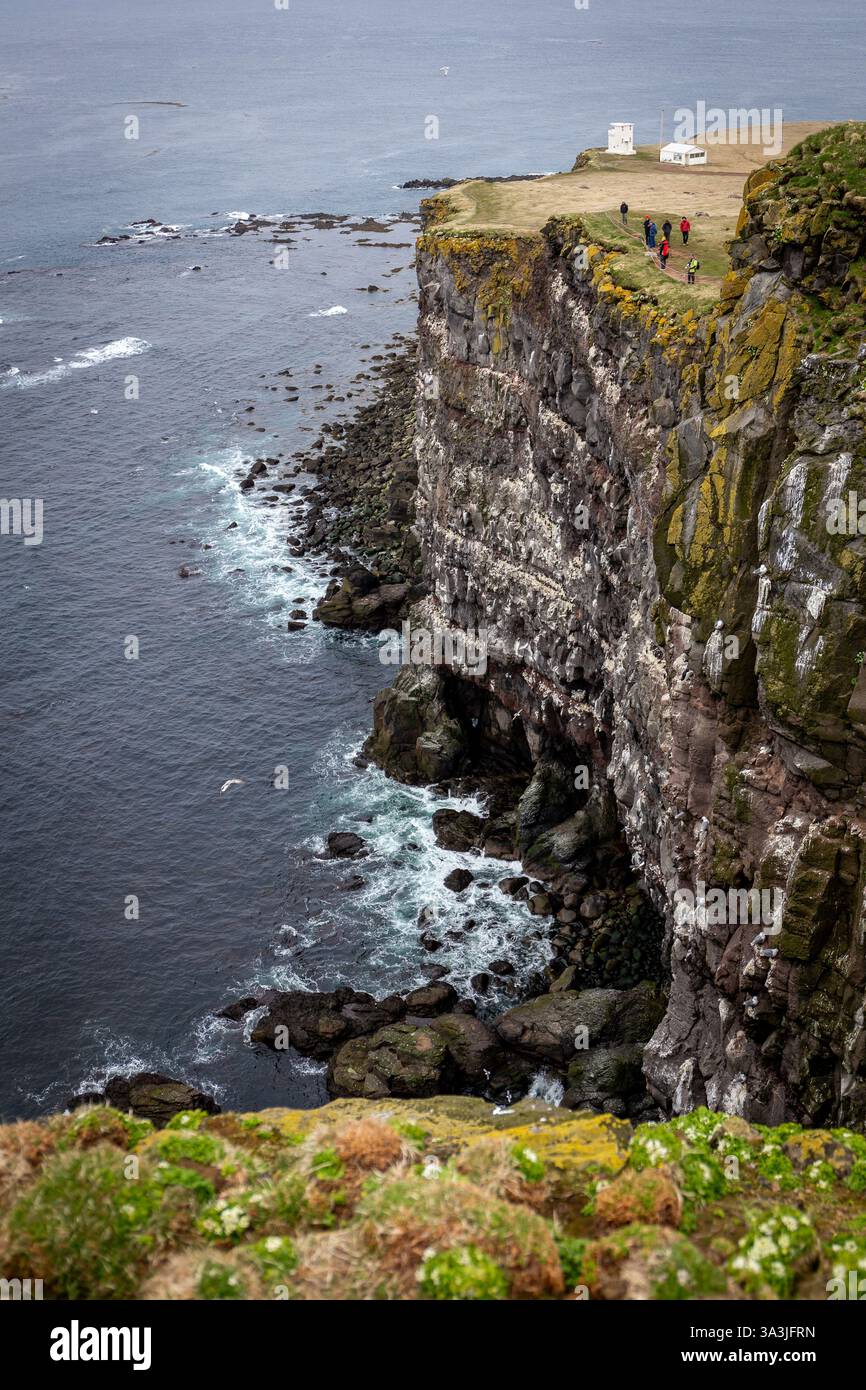 Latrabjarg, Iceland, 24.05.22. Latrabjarg cliffs in Westfjords, Iceland ...