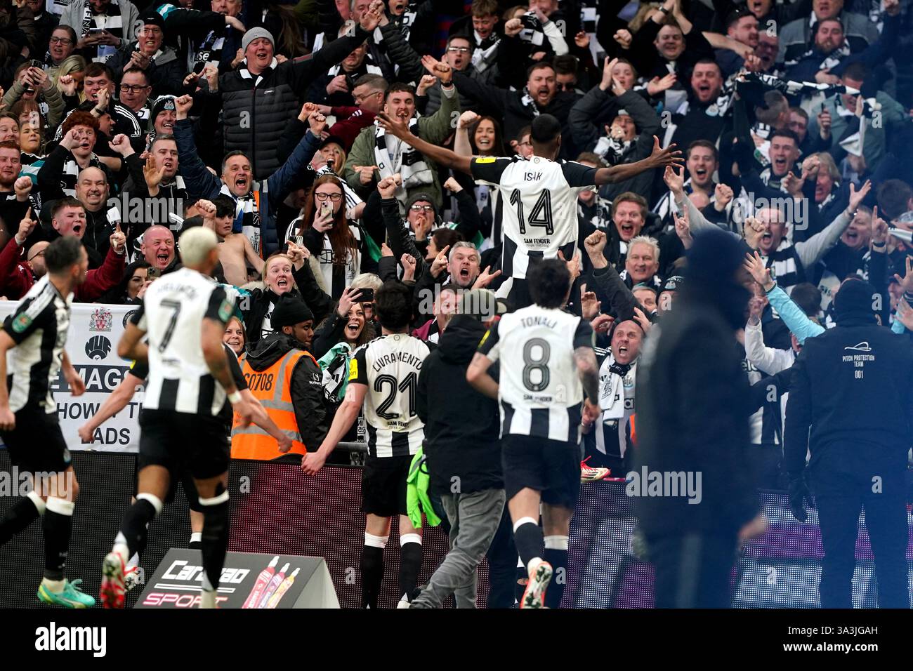 Newcastle United's Alexander Isak celebrates scoring their side's ...