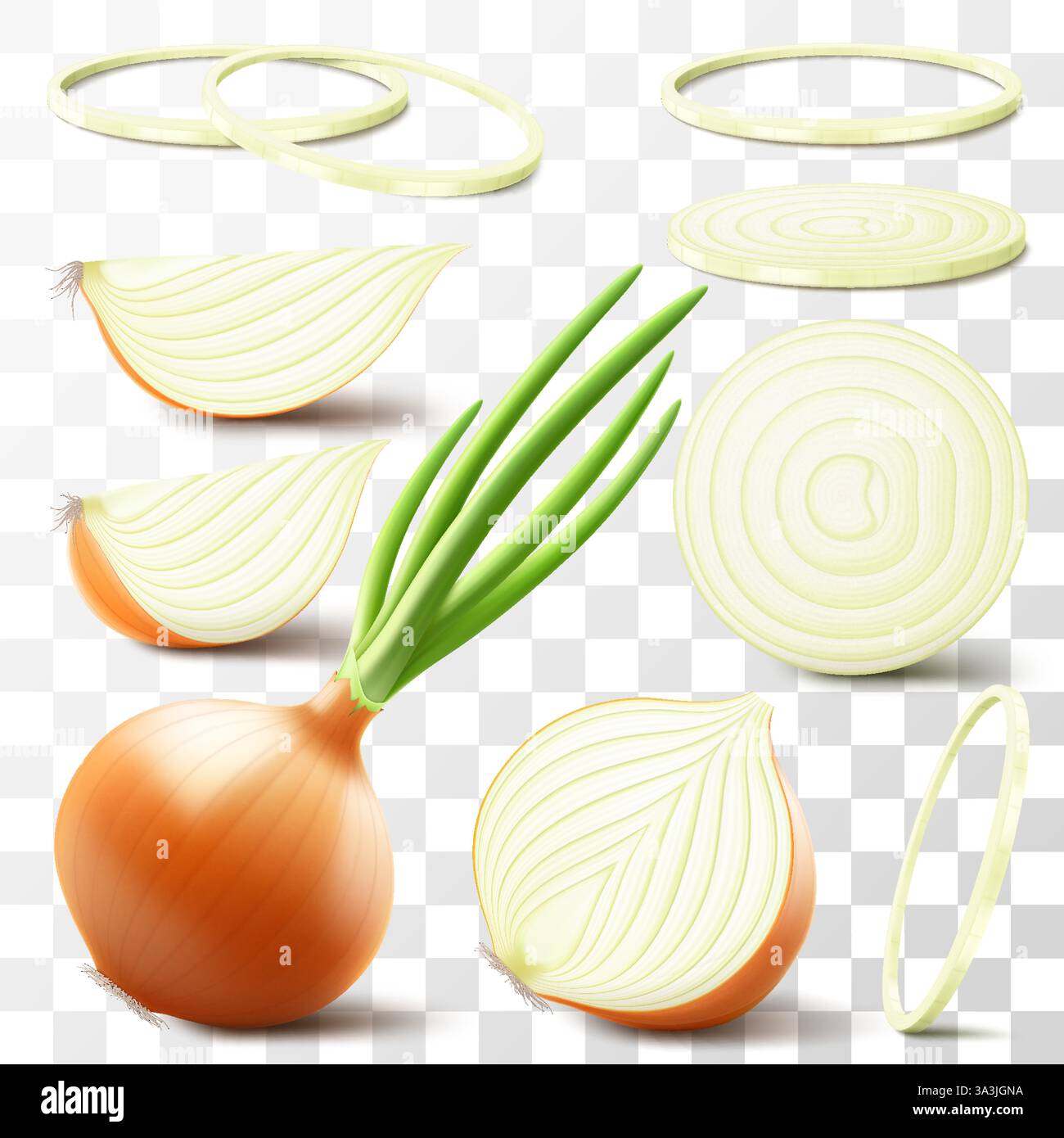 Whole, half and slices of fresh onion. Set of ripe yellow onion with ...