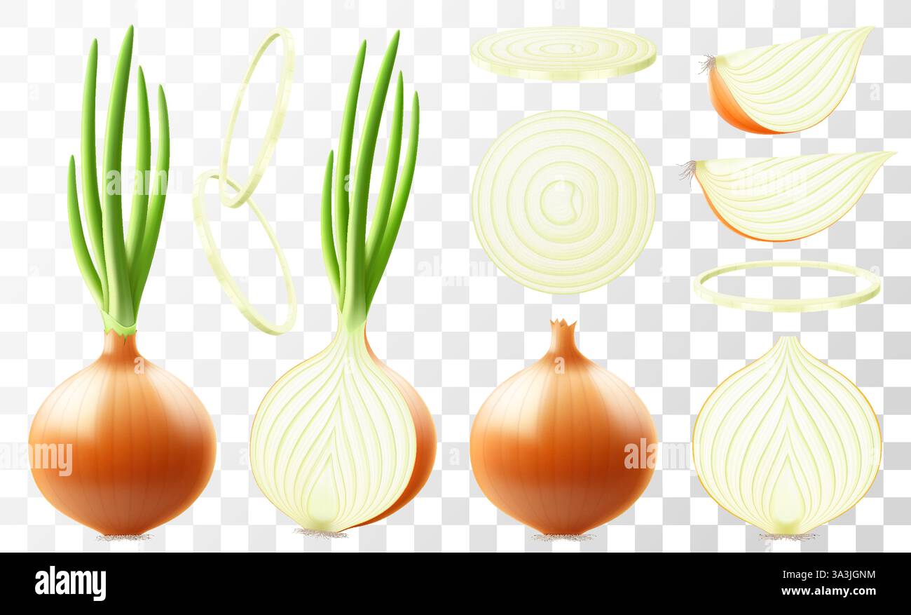 Whole, half and slices of fresh onion. Set of ripe yellow onion with ...