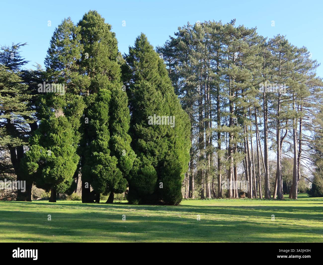 With acres of grounds to explore and walks through woodlands and tree ...