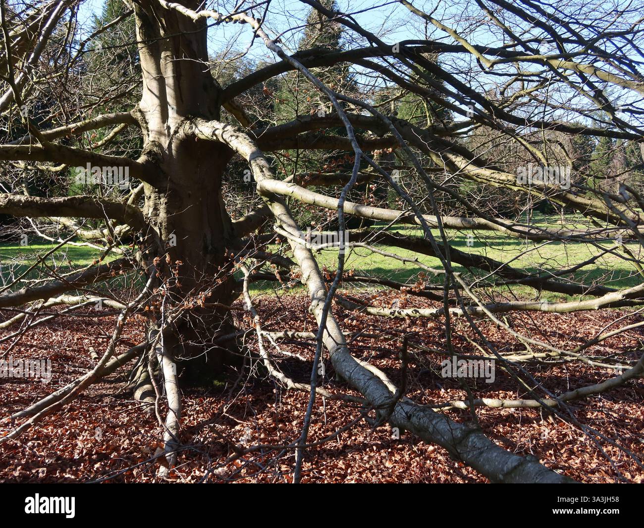 With acres of grounds to explore and walks through woodlands and tree ...
