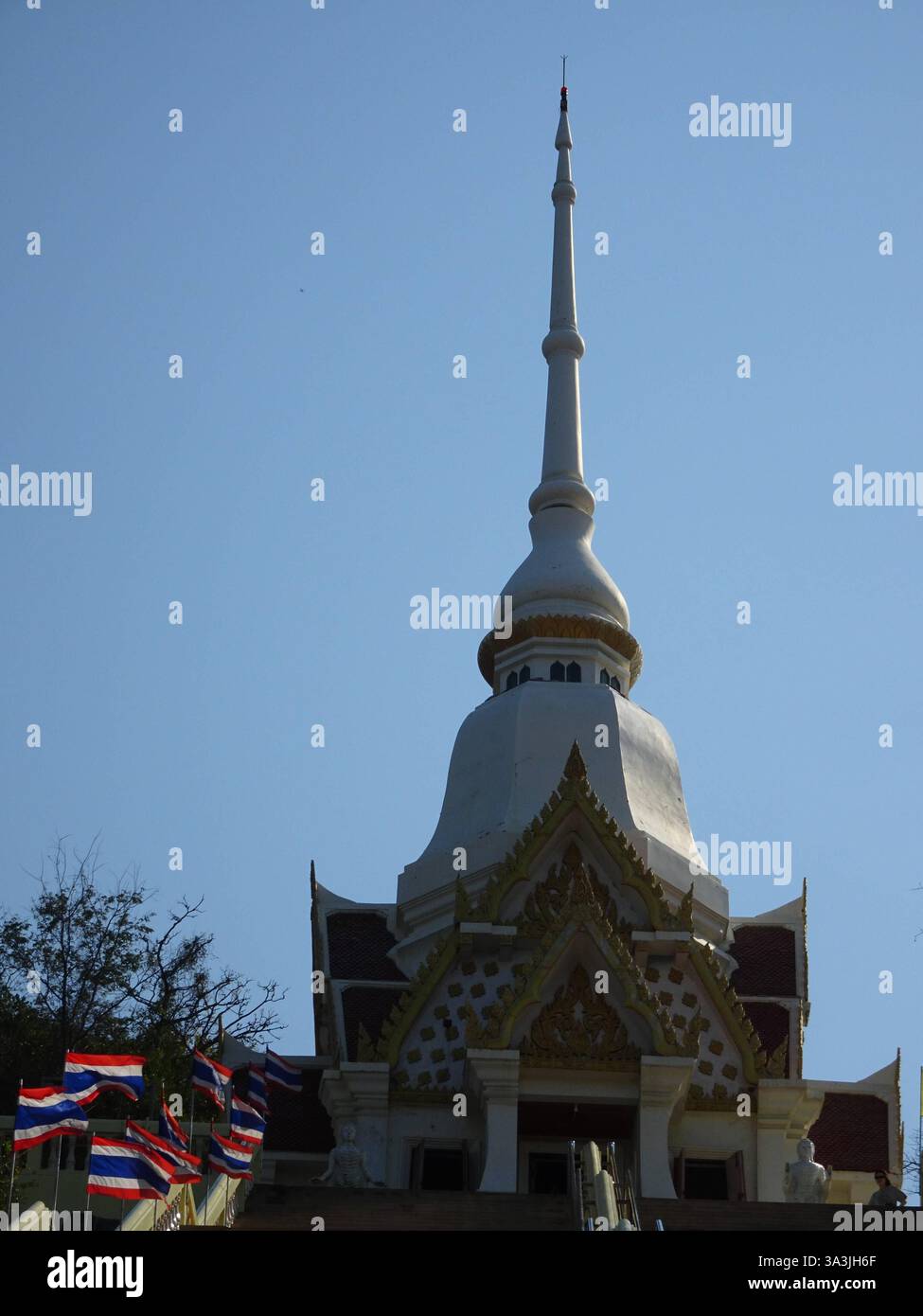 RECORD DATE NOT STATED Tempel, Affenberg, Hua Hin, Thailand, 2025 ...