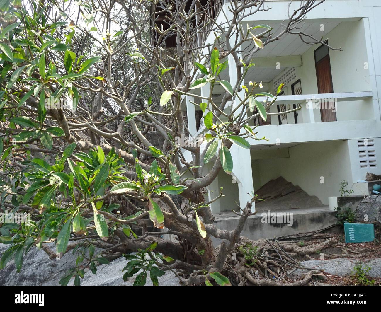 RECORD DATE NOT STATED Wat Tham Khao Tao, Tempel, Hua Hin, Thailand ...