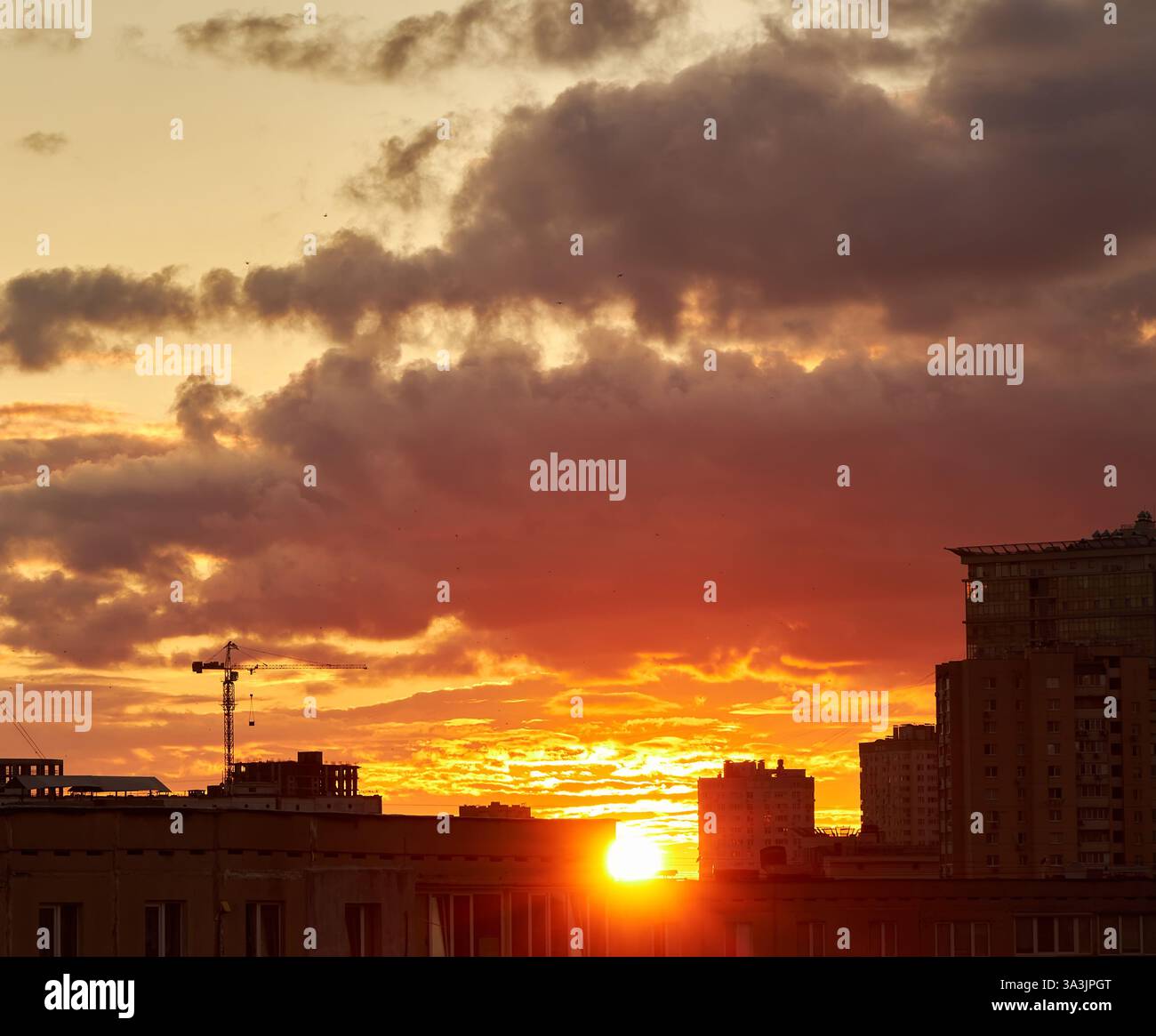 A stunning sunset bathes the city skyline in warm golden light. The sun ...