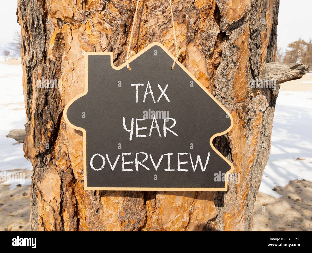 Tax year overview symbol. Concept words Tax year overview on beautiful ...