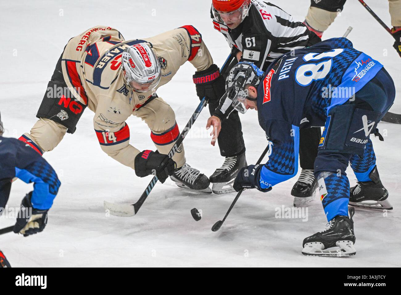 16 March 2025, Bavaria, Ingolstadt: Ice hockey: DEL, ERC Ingolstadt ...