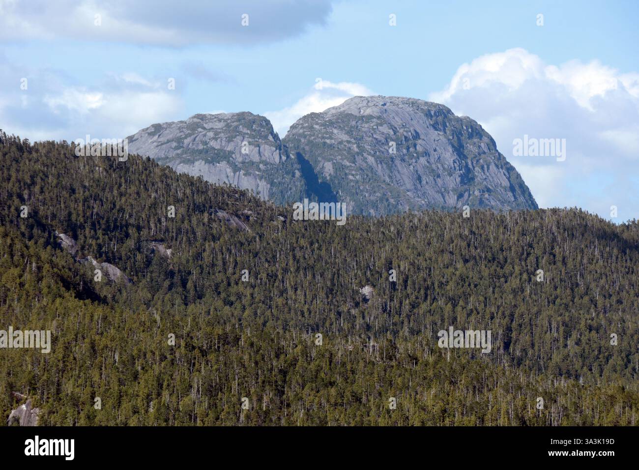 Ellerslie lake great bear rainforest hi-res stock photography and ...
