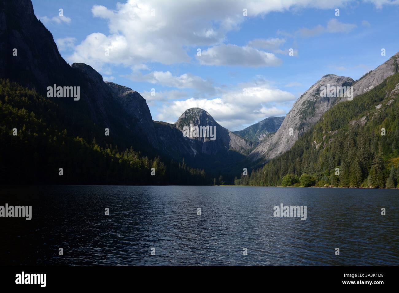 A view of of Ellerslie Lake and the Coast Mountains in the Great Bear ...