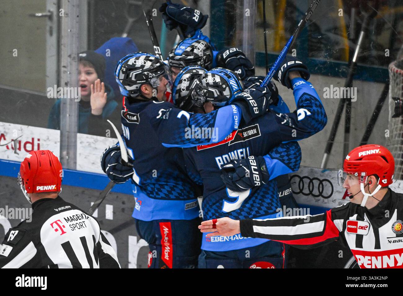 16 March 2025, Bavaria, Ingolstadt: Ice hockey: DEL, ERC Ingolstadt ...