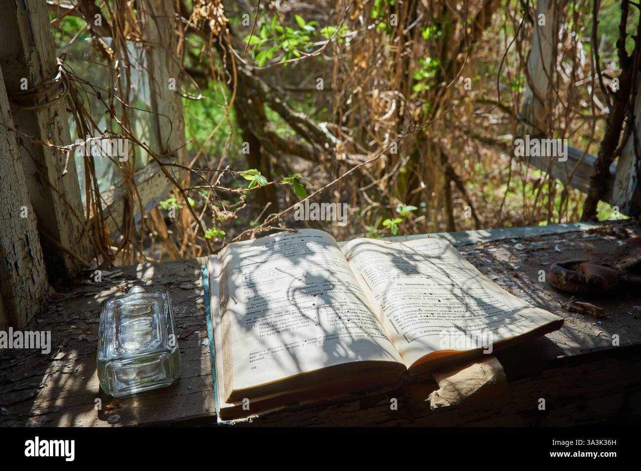 An old book and glass bottle on a dusty window sill, surrounded by ...