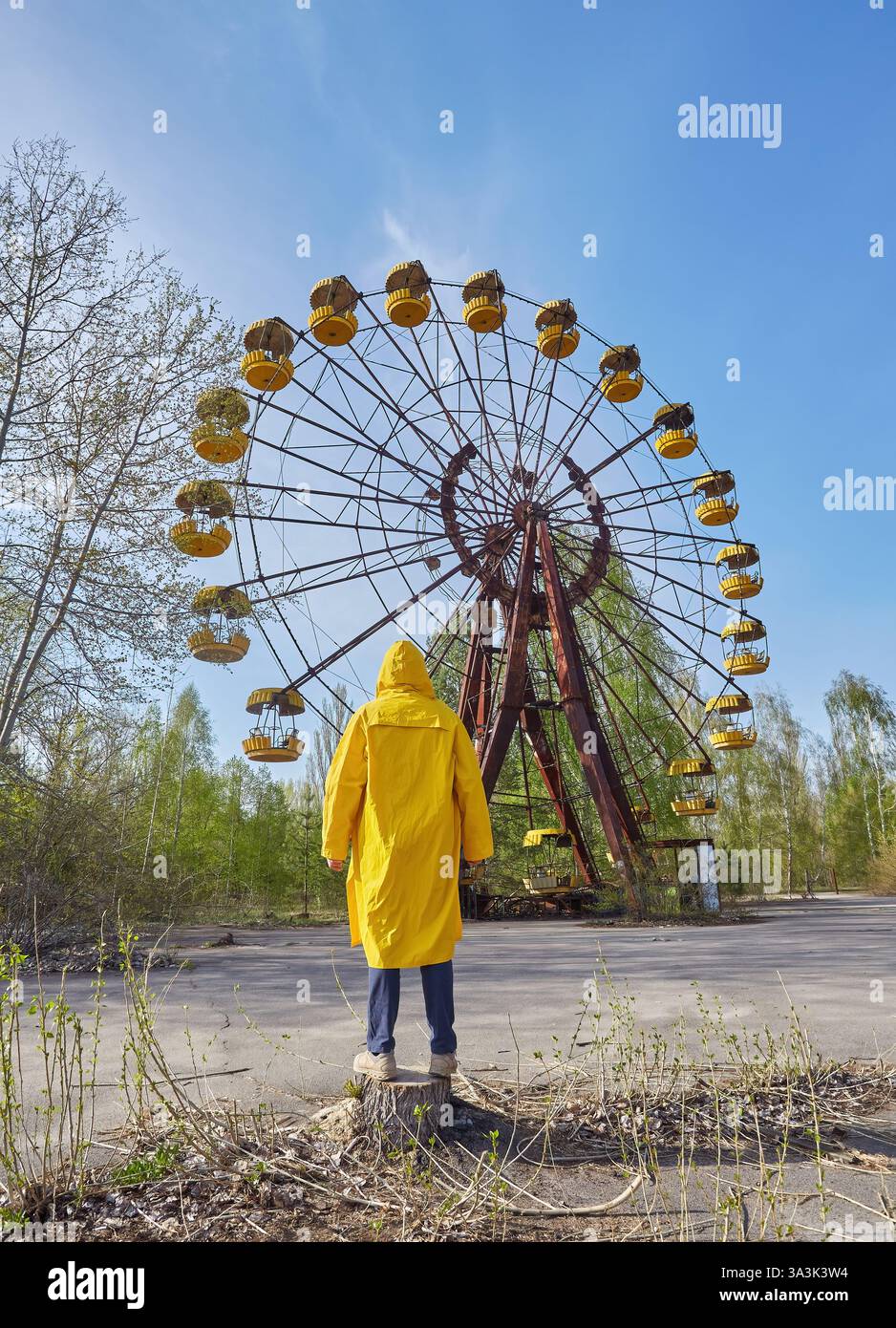 A lone figure in yellow stands before the motionless Ferris wheel in ...