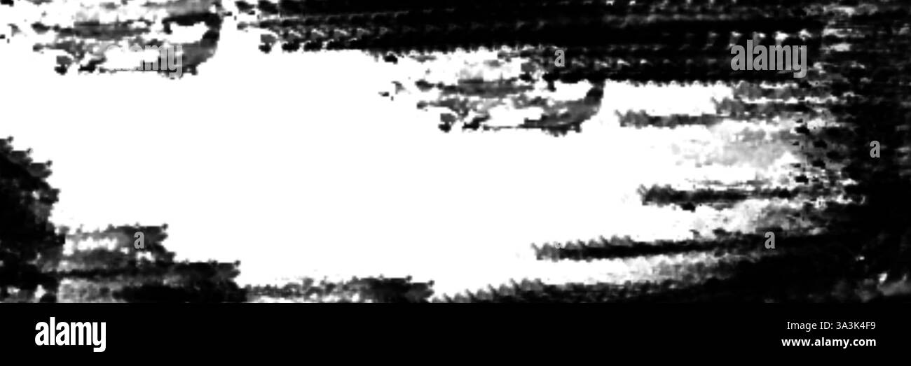 This artwork showcases a captivating blend of abstract black and white ...