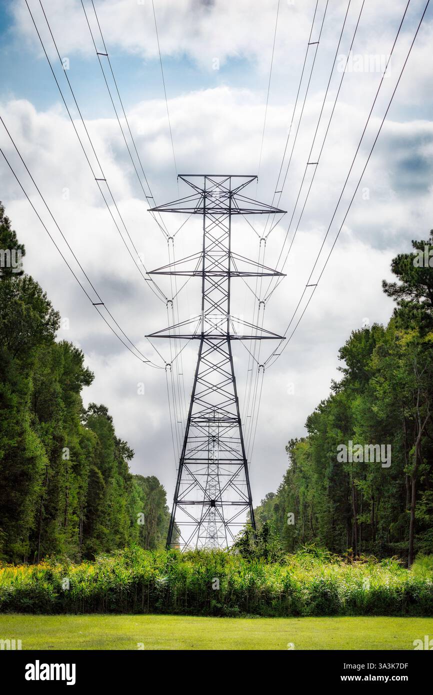 Power lines near Oak Grove Lake Park in Chesapeake, Virginia Stock ...