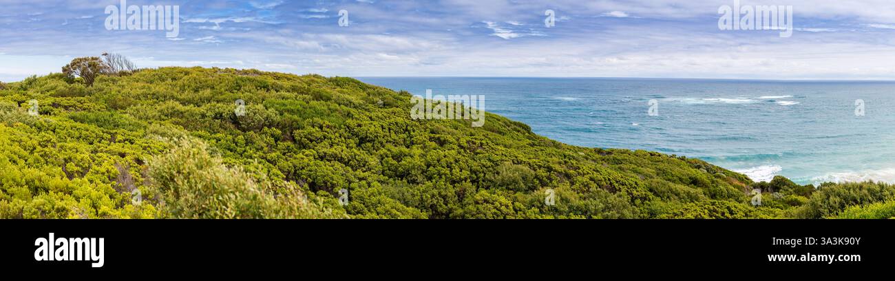 Enjoy the vibrant greenery and serene coastal views in Cape Otway ...