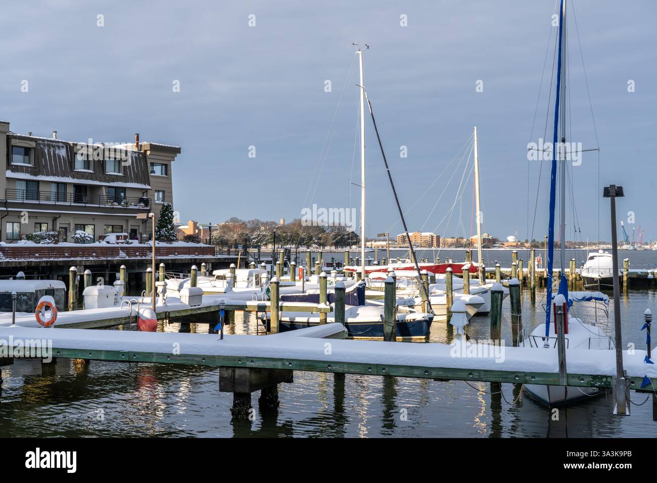 Norfolk Virginia - February 20 2025: A Dock With Sailboats in the ...