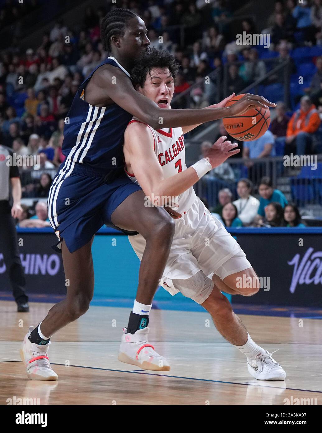 University of Calgary Dinos' Alan Spoonhunter, right, drives against ...