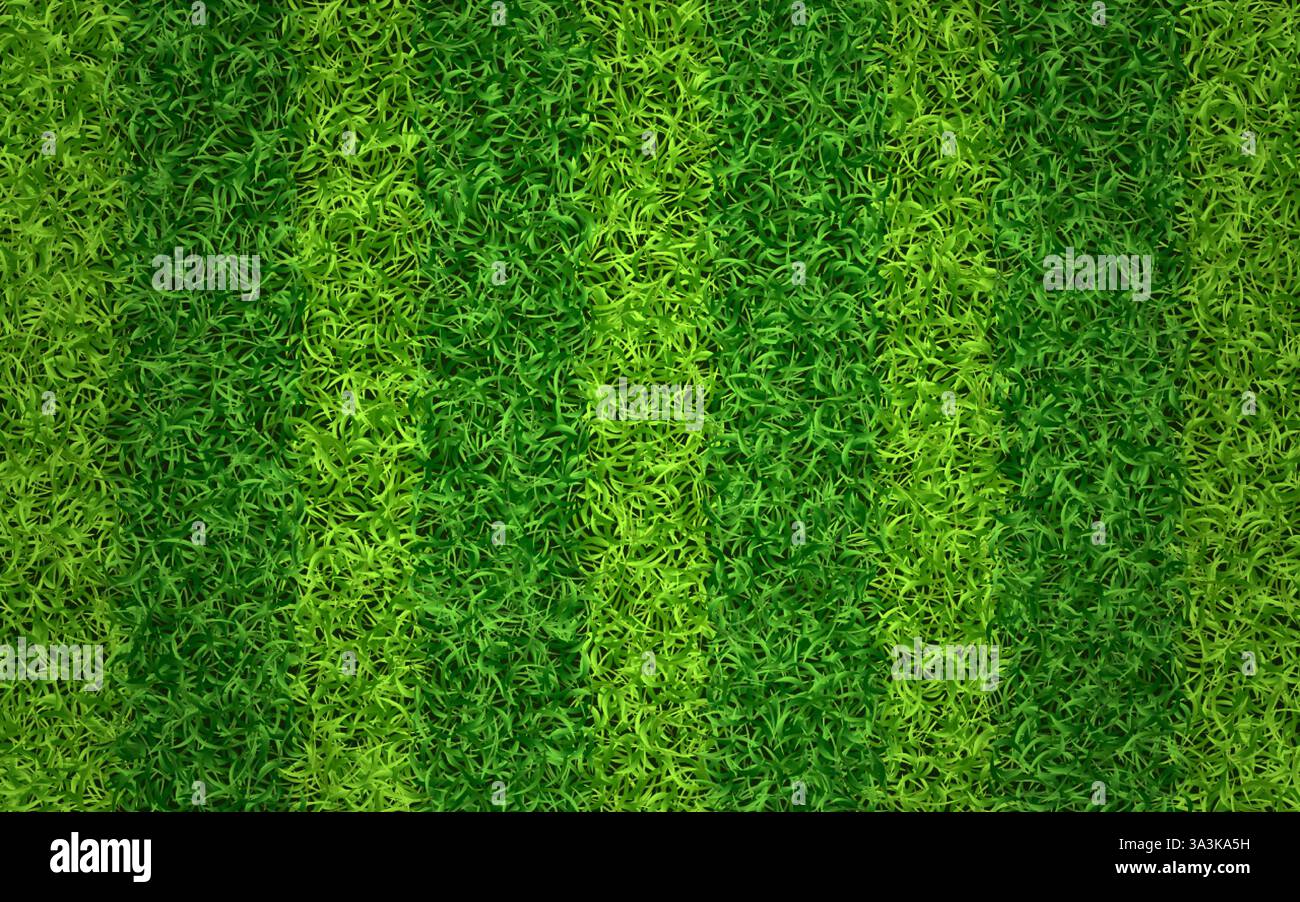 Grass texture. Green sport field concept. Striped lawn for soccer or ...