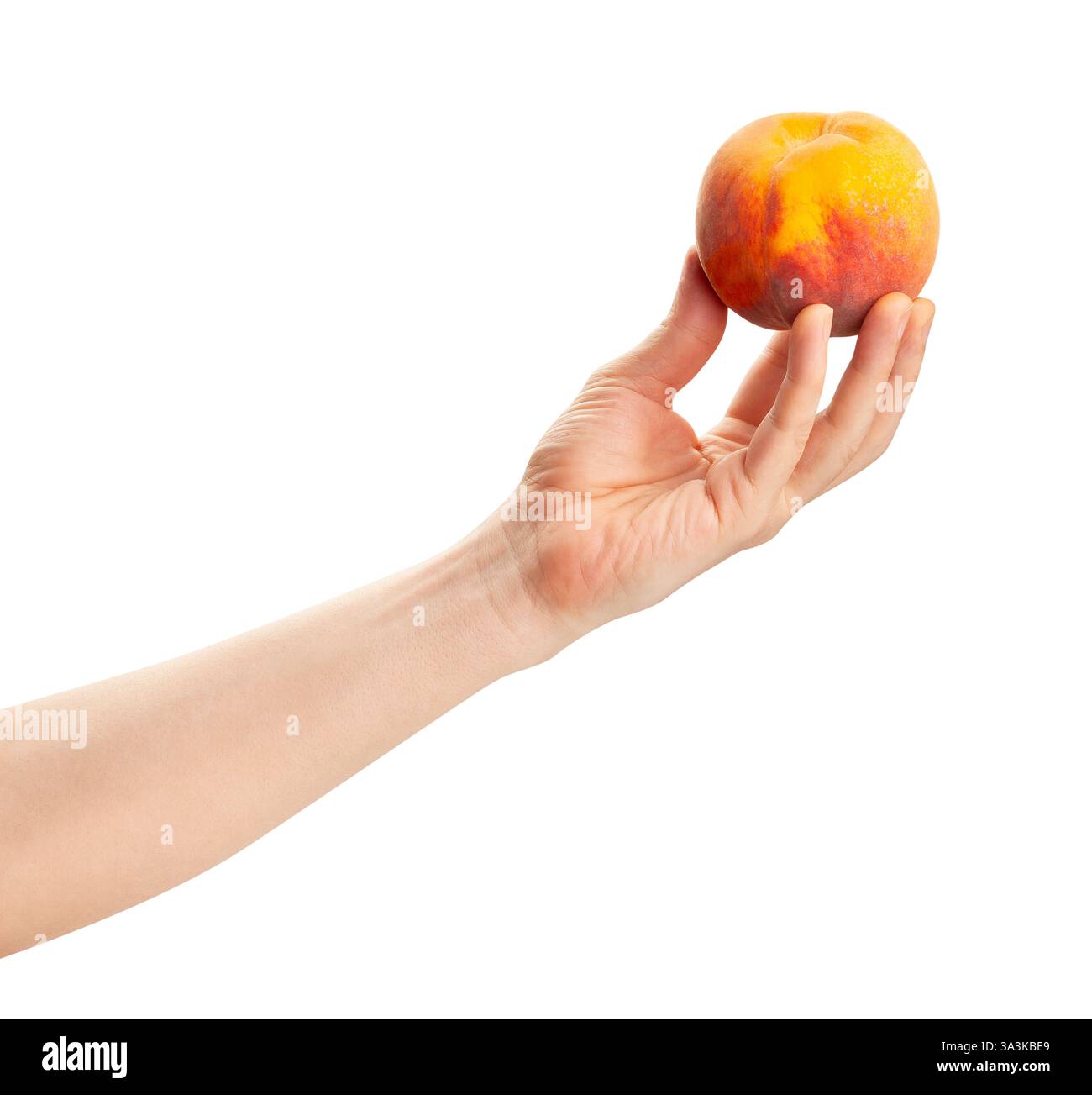 peach in hand path isolated on white Stock Photo - Alamy