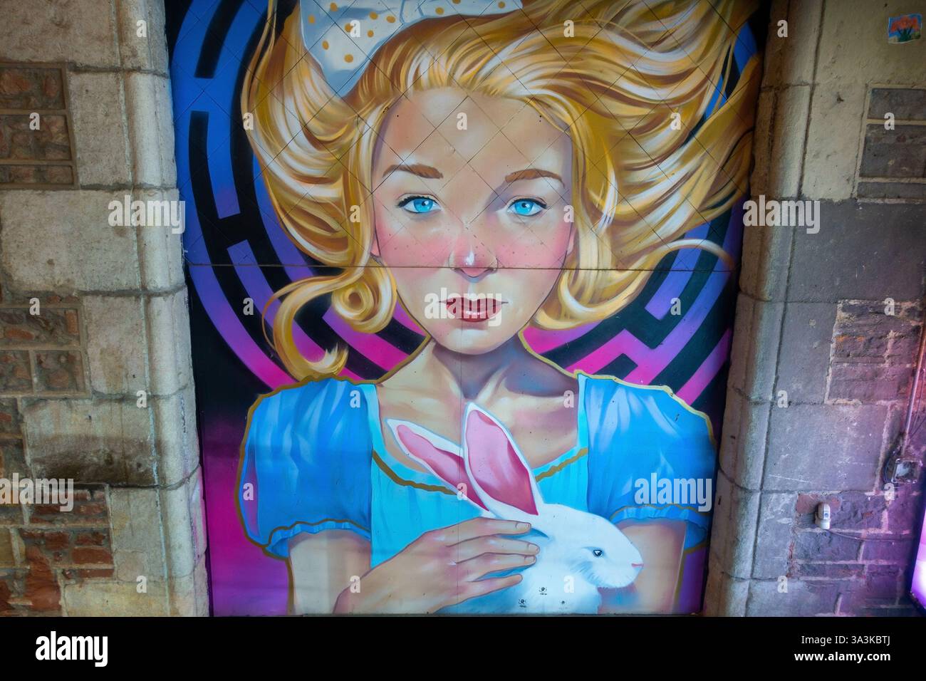 Alice In Wonderland Holding White Rabbit Painting Wall Graffiti Multi ...