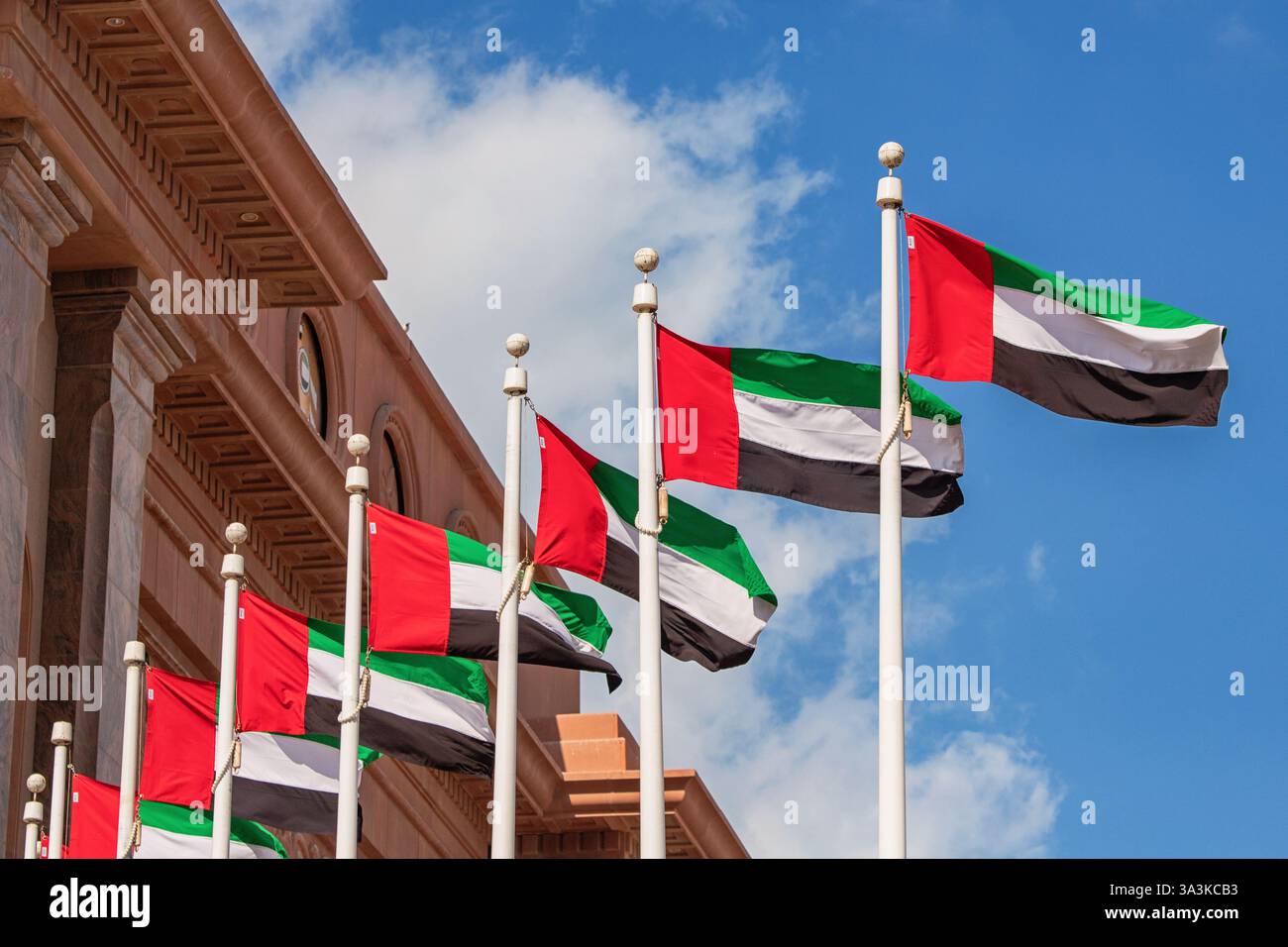 19 January 2025, Abu Dhabi, UAE: Multiple UAE flags waving proudly on ...