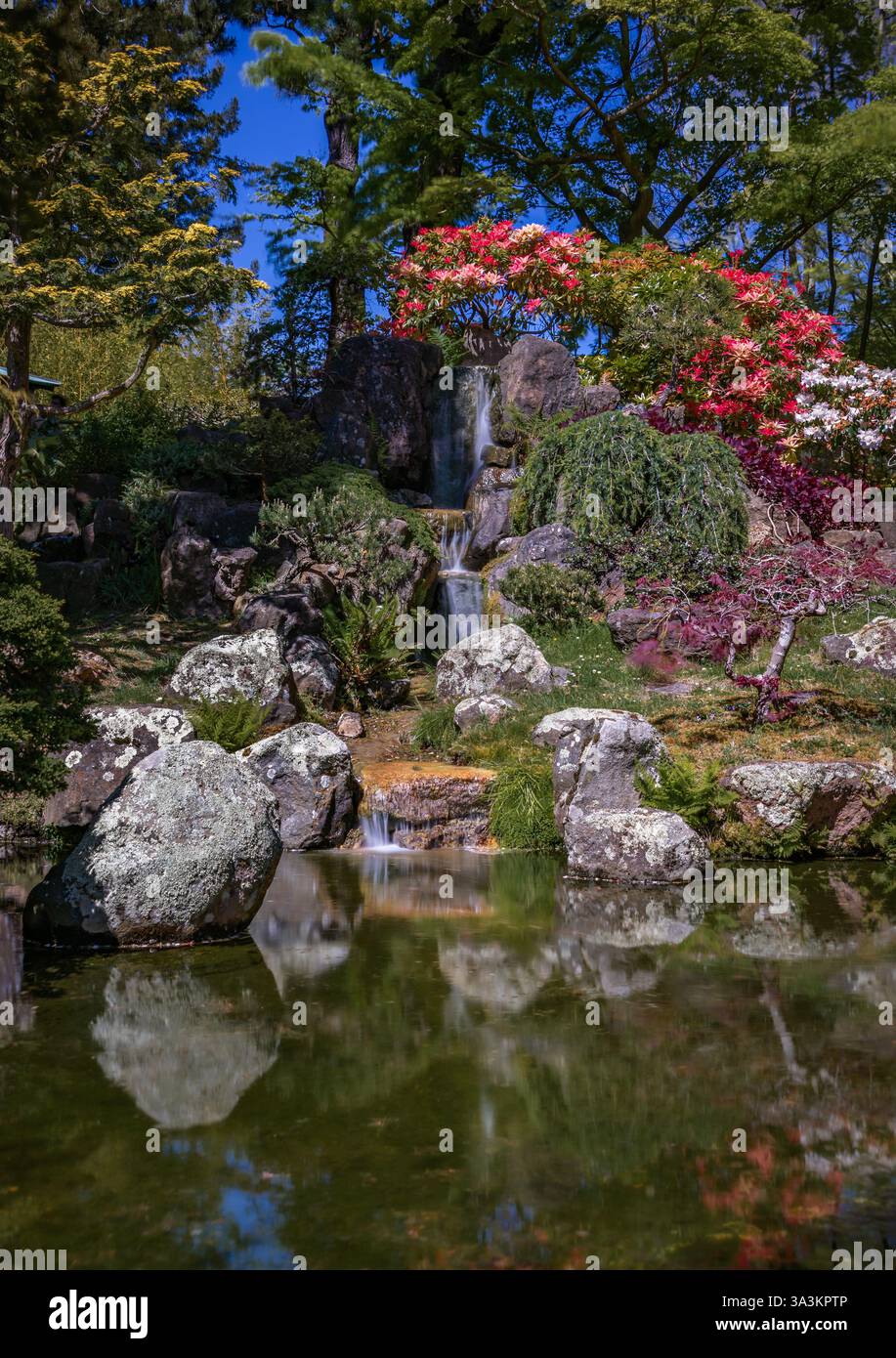 Serene waterfall cascades over moss covered rocks into a calm pond ...