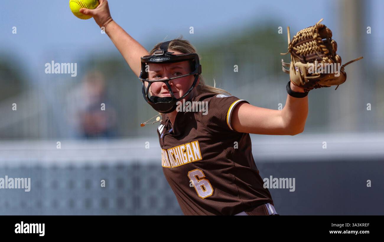 Western Michigan pitcher Kaylee Salyer (6) in action during an NCAA ...
