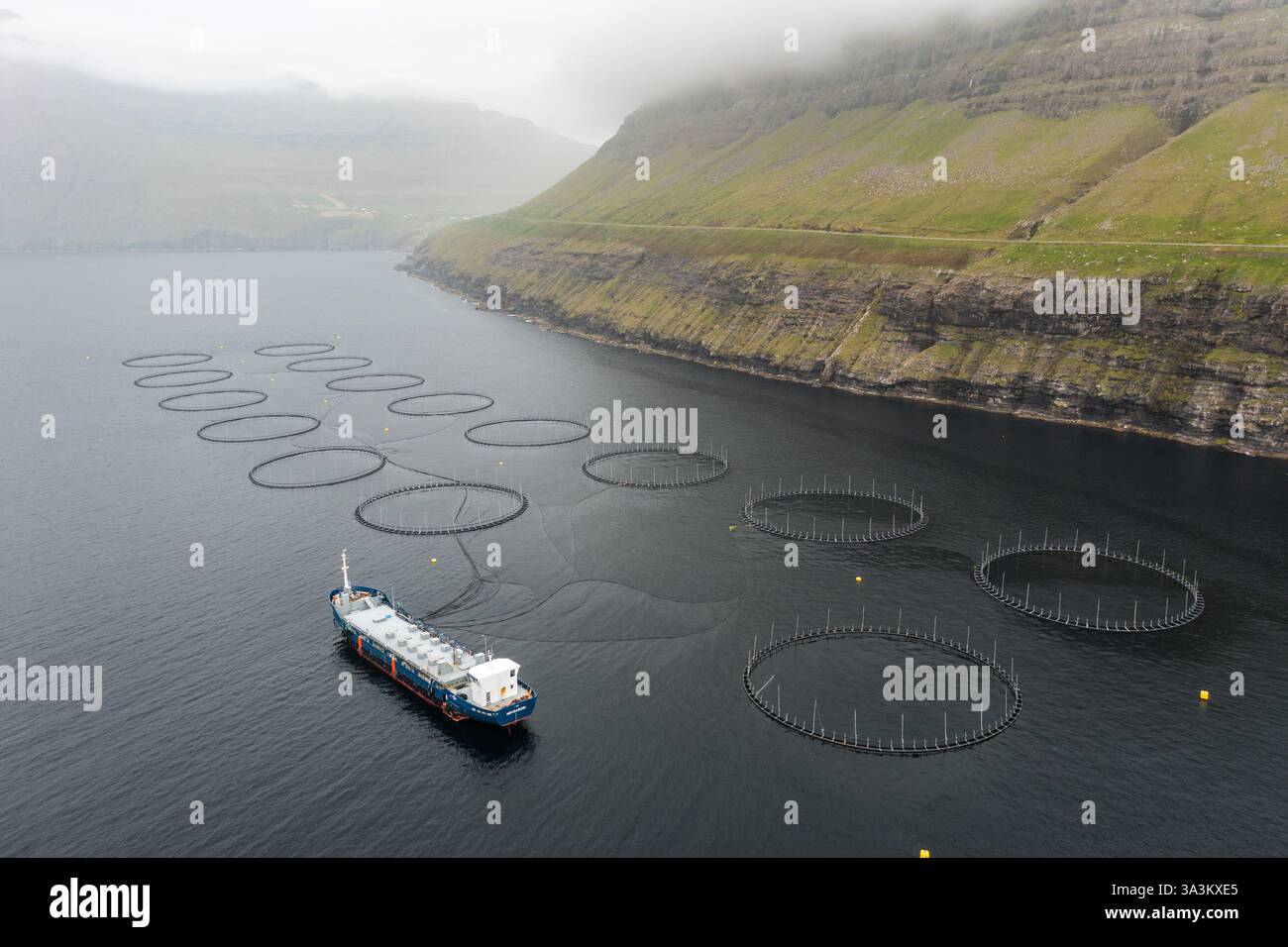 Aerial View of Fish Farming in Faroe Islands with Drone at Summers End ...