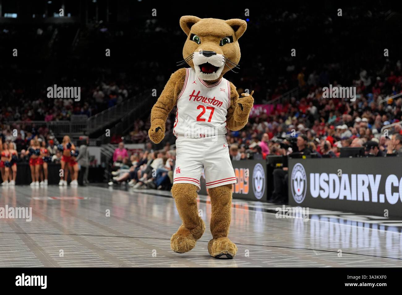 Houston mascot Shasta performs during the second half of an NCAA ...